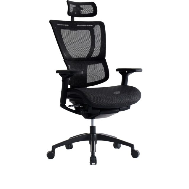 Eurotech ioo Executive Chair With Headrest
